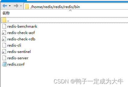 Centos7.x离线安装redis_redis rpm下载-CSDN博客