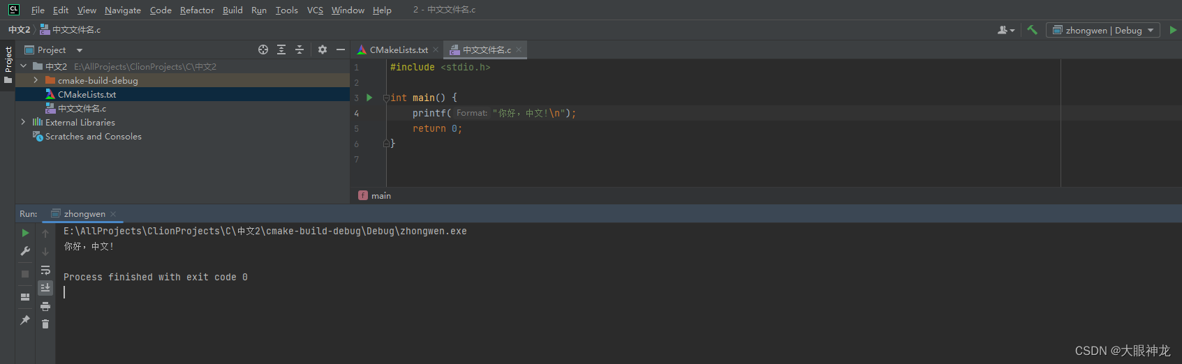 【Clion】中文路径名项目名加载异常_clion服务器返回的文件名无效-CSDN博客