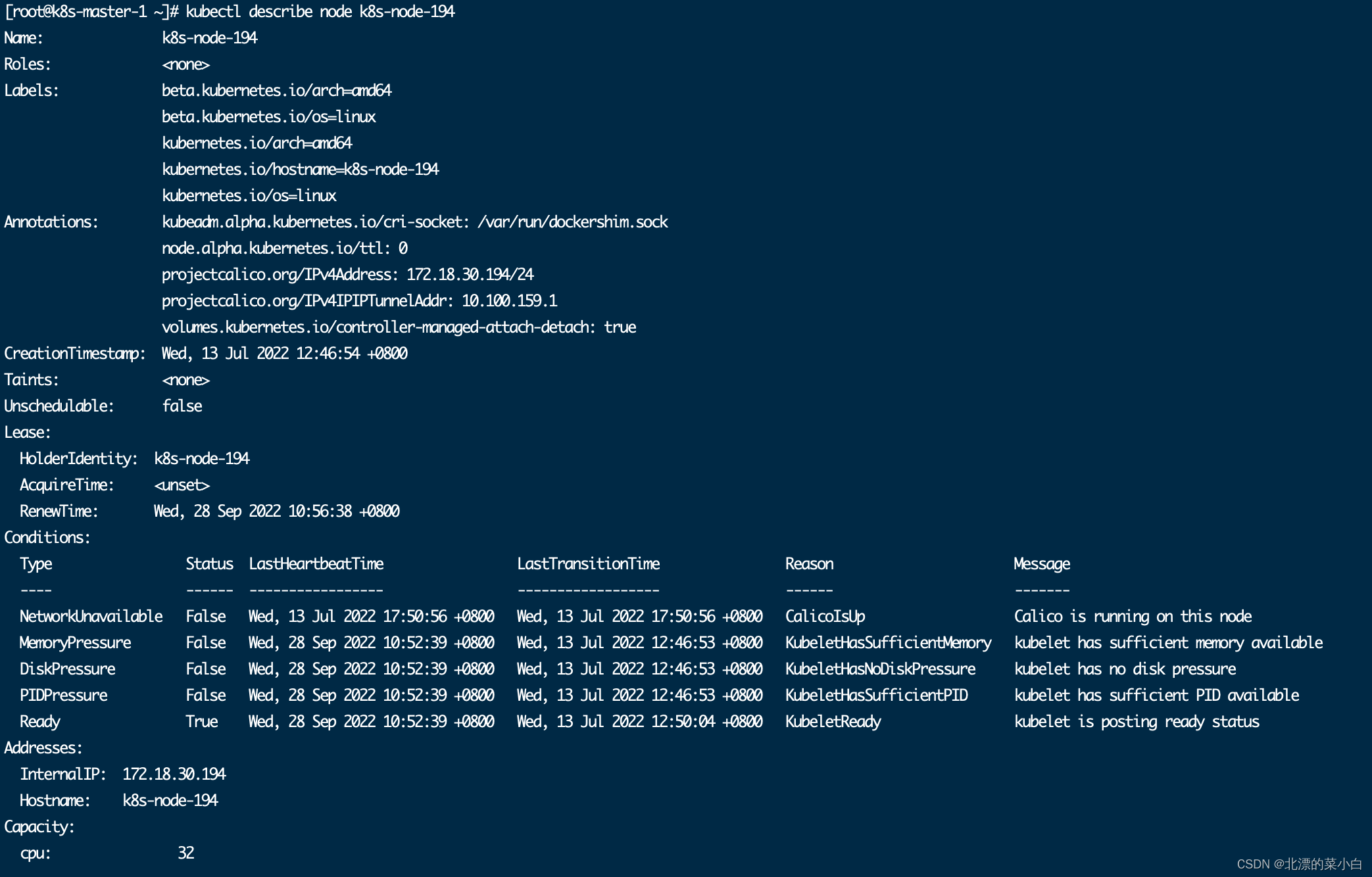 云原生技术 --- k8s节点组件之kubelet的学习与理解_kubelet.conf-CSDN博客