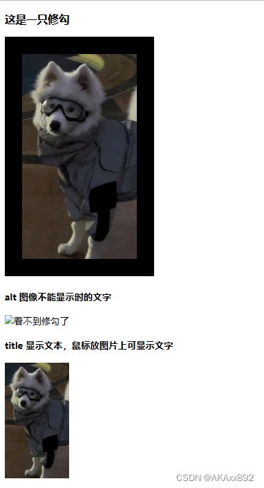 Web前端开发学习-day1-CSDN博客