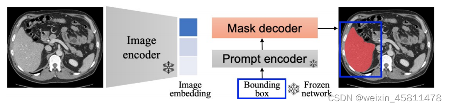 Segment Anything in Medical Images翻译-CSDN博客