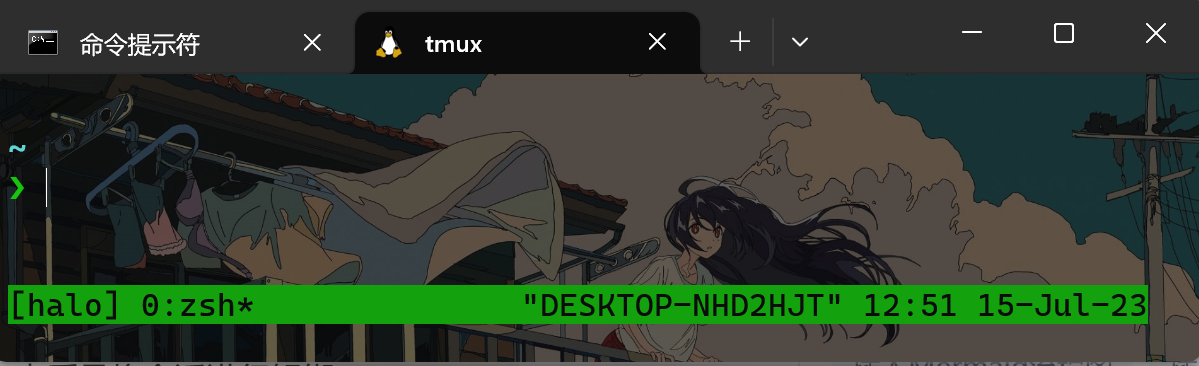 工作流：WSL+tmux+NeoVim_wsl tmux-CSDN博客
