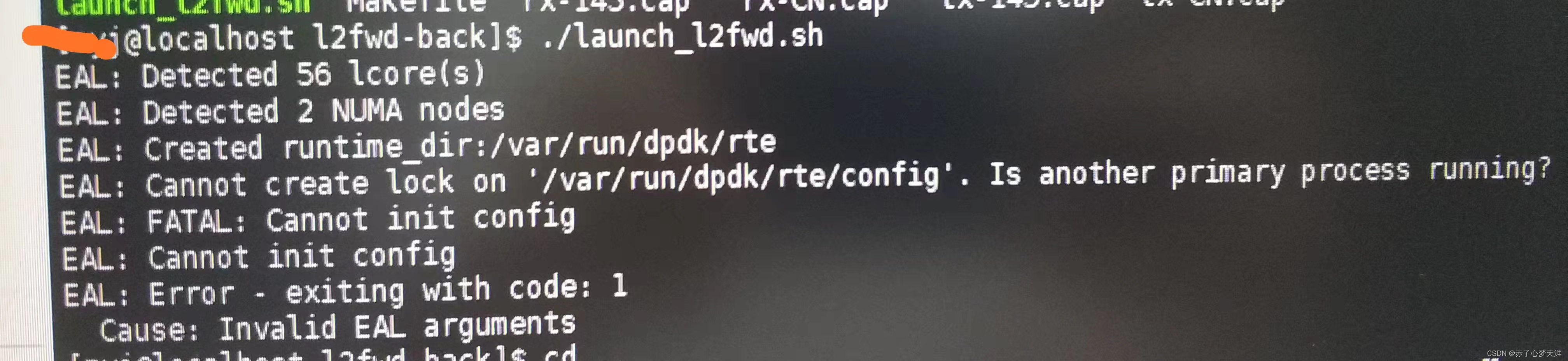 DPDK示例之EAL初始化时出错_cannot init eal-CSDN博客