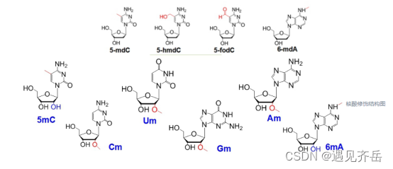 RNA甲基化修饰种类_trna修饰类型-CSDN博客