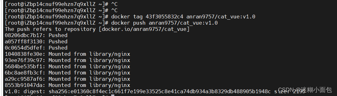 Docker 部署前后端项目_docker打包前后端-CSDN博客
