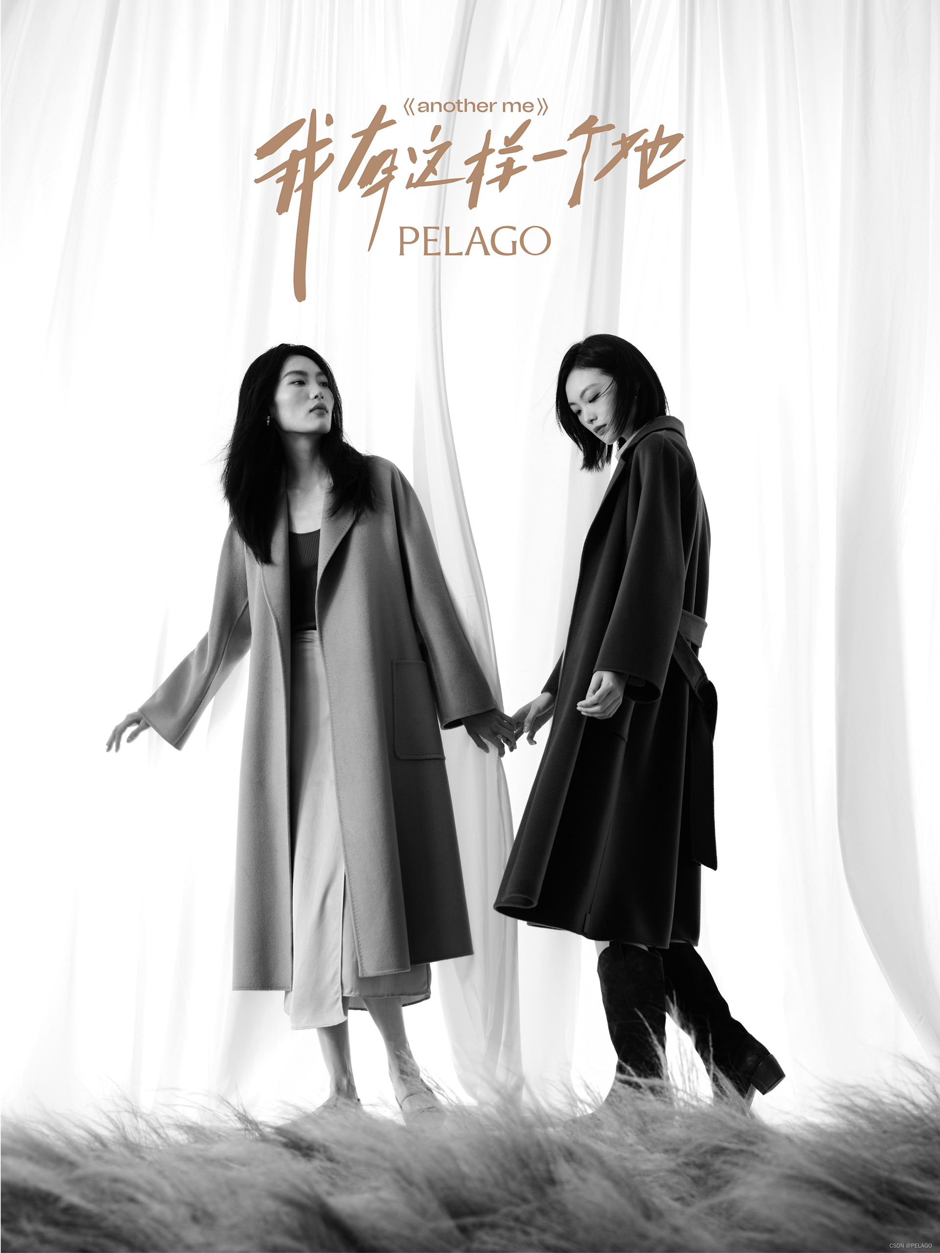 PELAGO | 我有这样一个她-CSDN博客