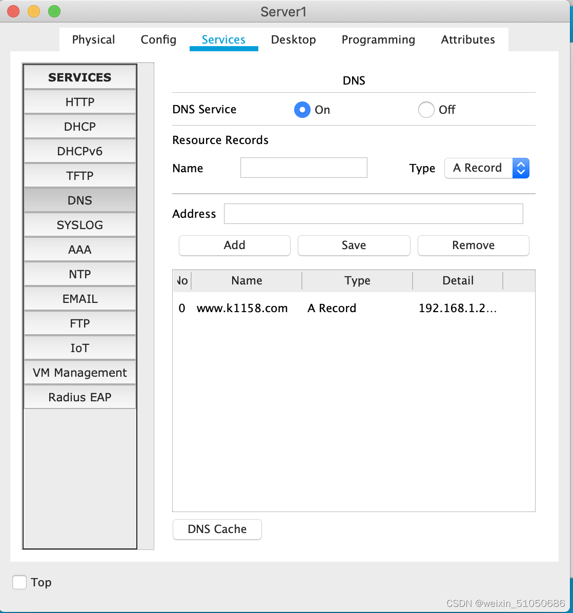 cisco仿真实验-----网络服务（web/dns/dhcp）_思科模拟器web服务器配置域名-CSDN博客