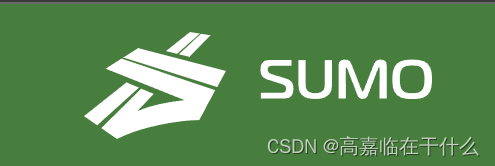 在服务器中运行nni＋sumo仿真_在远程服务器使用nni-CSDN博客