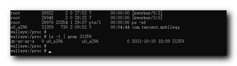 【Android 逆向】Android 系统文件分析 ( /proc/pid 进程号对应进程目录 | oom_adj | maps | smaps | mem | task | environ ...