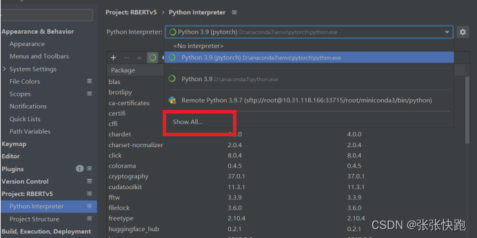 利用Pycharm连接服务器AISatation_pycharm 连接aistation开发环境_张张快跑的博客-CSDN博客