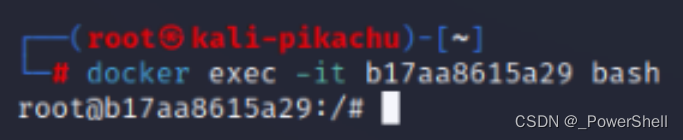 [ 靶场环境片 ] kali-linux采用Docker 搭建 pikachu（特别详细）_kali pikachu安装教程-CSDN博客