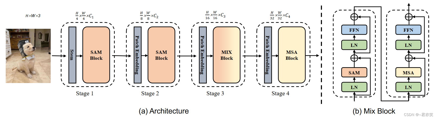 【论文阅读】SMT: Scale-Aware Modulation Meet Transformer（附核心代码讲解）-CSDN博客