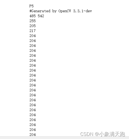 C#有关PGM图片的处理_pgm 图片读取和转-CSDN博客