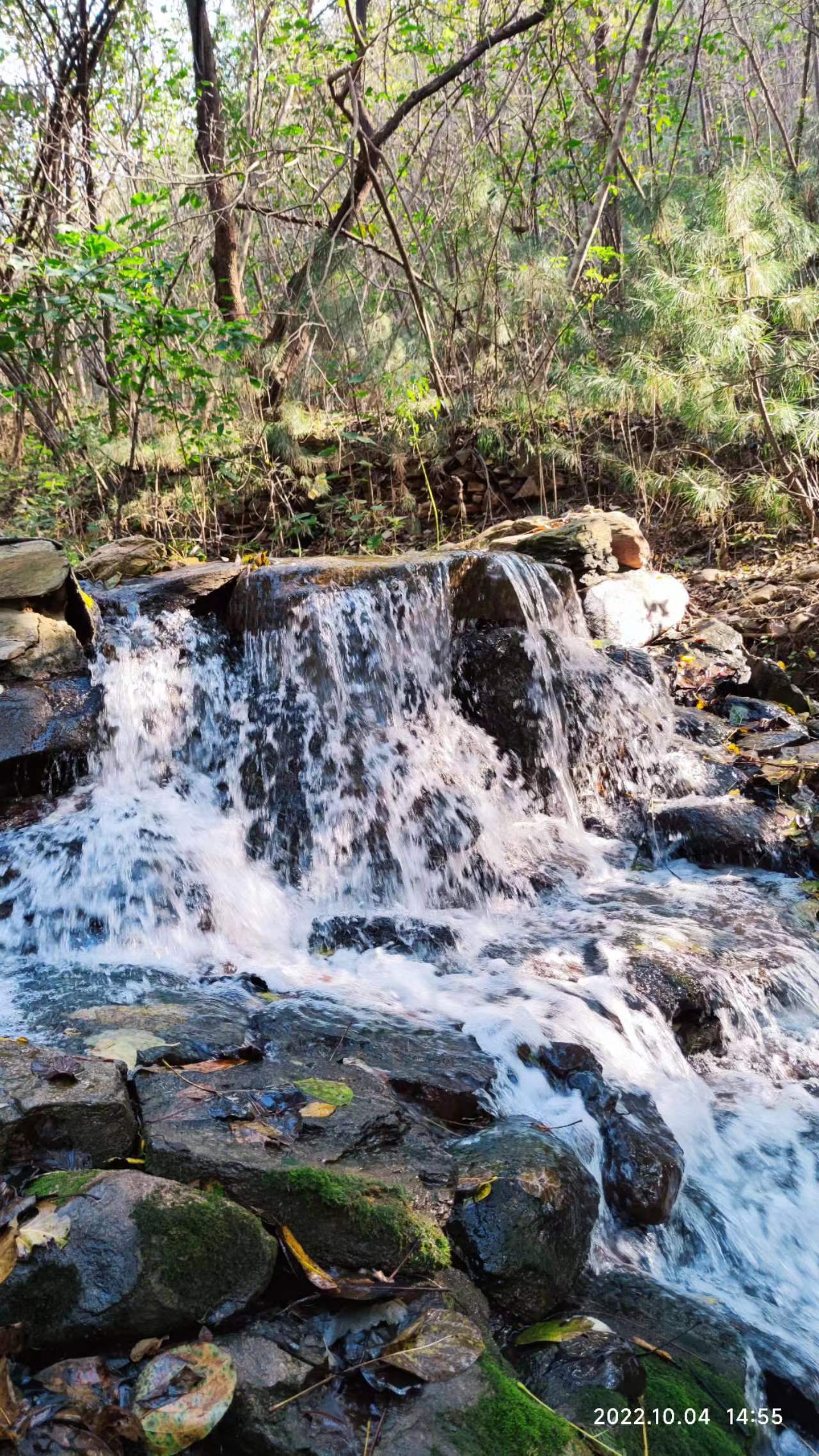 OpenEuler 安装redis服务_redis_程序员识堂-华为开发者空间