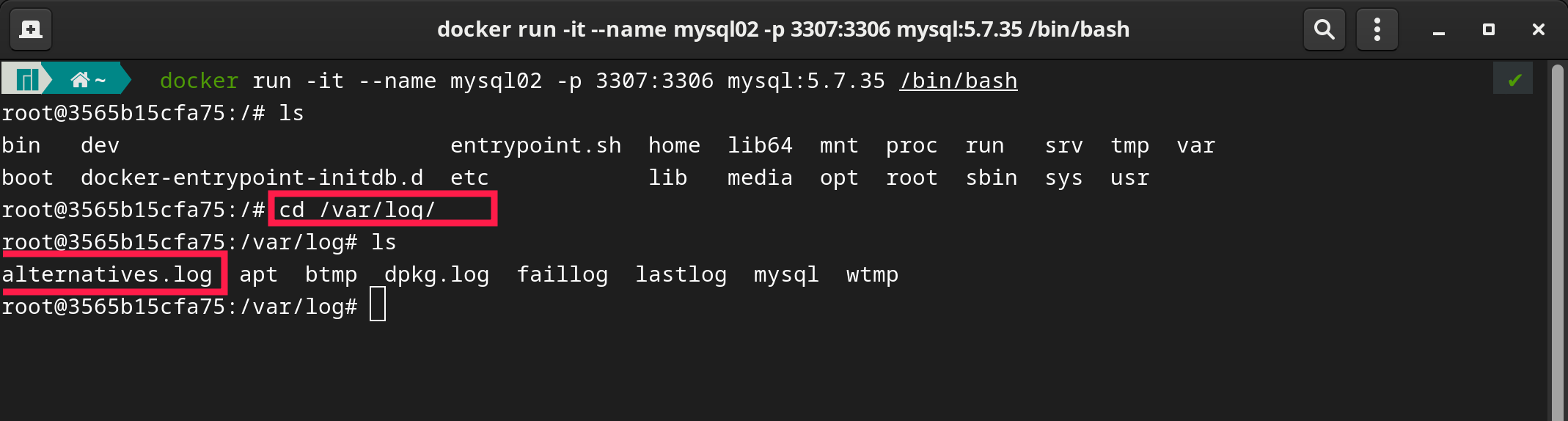 docker一条命令解决容器一启动就退出方法（通用任何镜像）_docker tail -f-CSDN博客