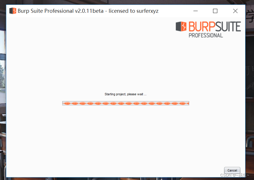 Burpsuite安装以及简单抓包_burpsuite抓包-CSDN博客