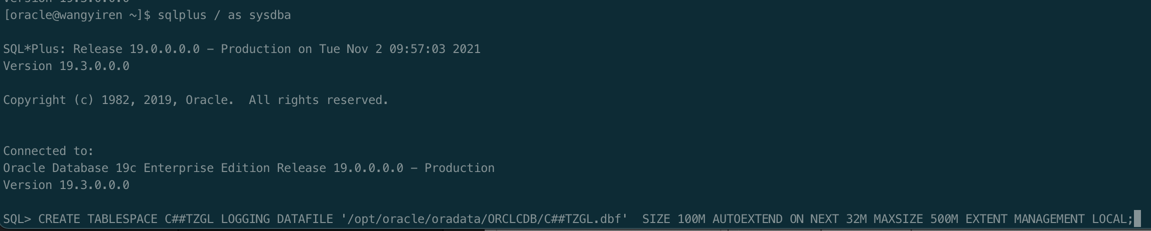 Linux安装oracle 19c_linux7.5安装oracle19c-CSDN博客