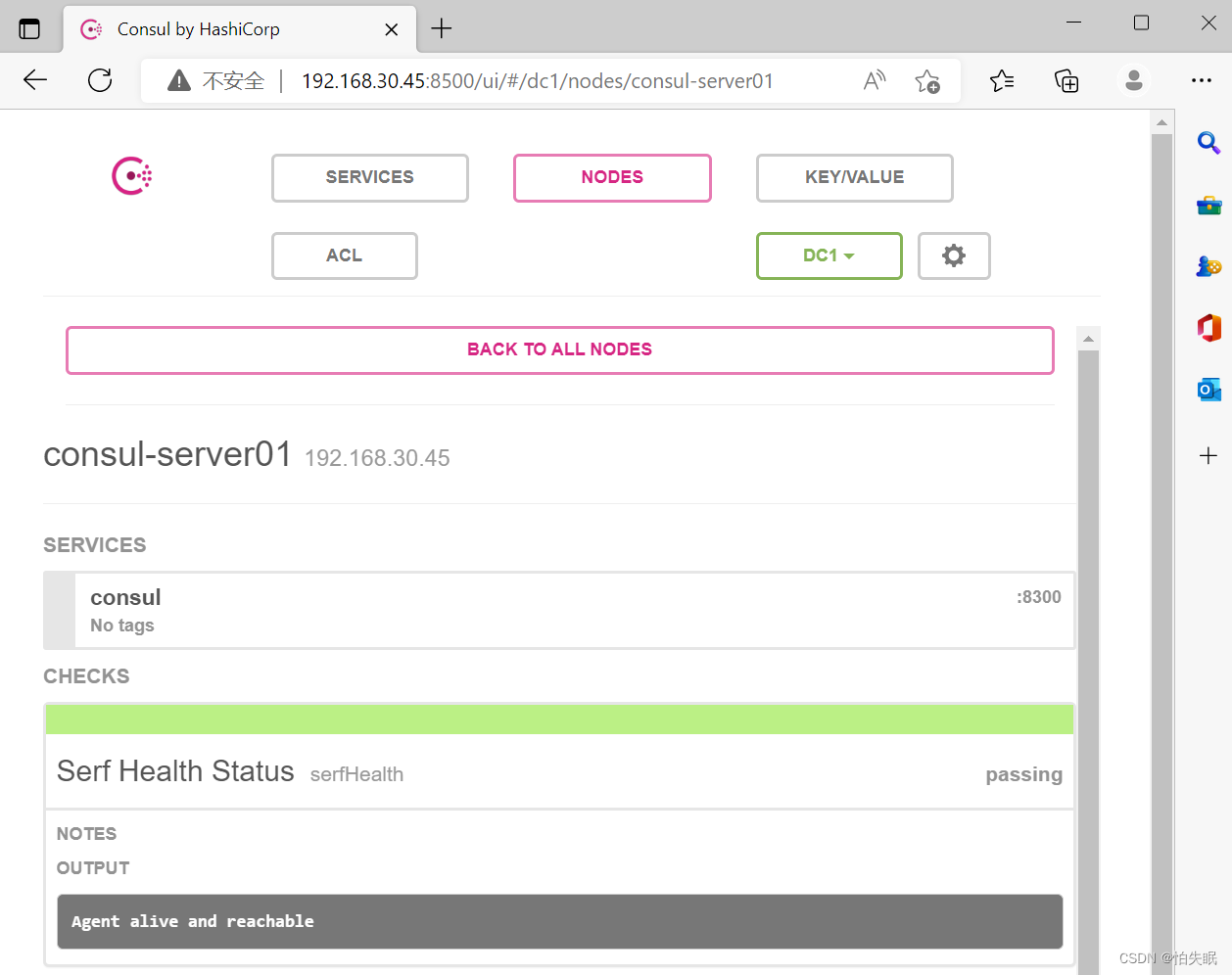 Docker容器-------Consul（注册中心）部署_consul查看已注册服务-CSDN博客