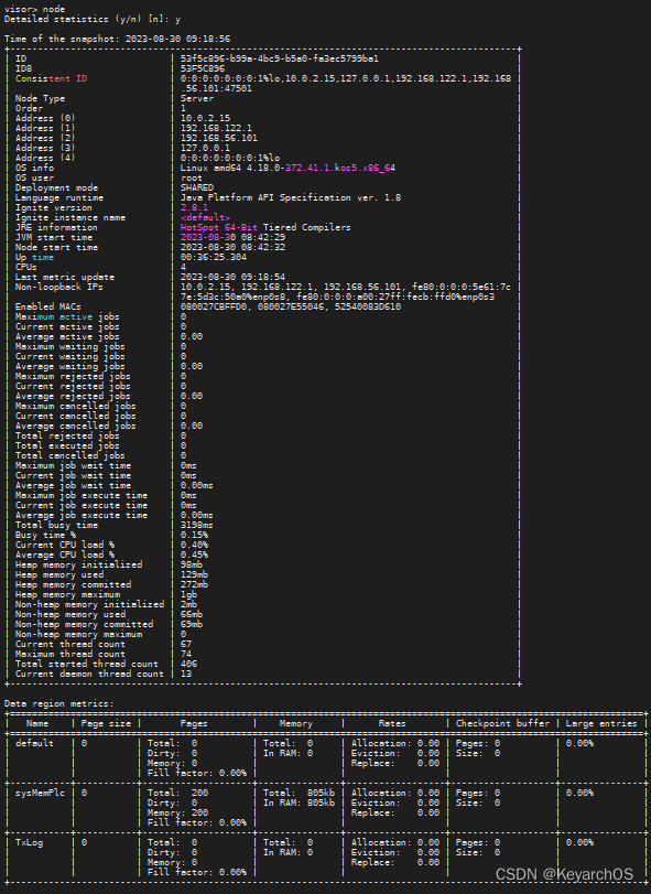 在KeyarchOS上安装和配置Apache Ignite：一种高性能的内存计算平台_apache ignite sql命令-CSDN博客