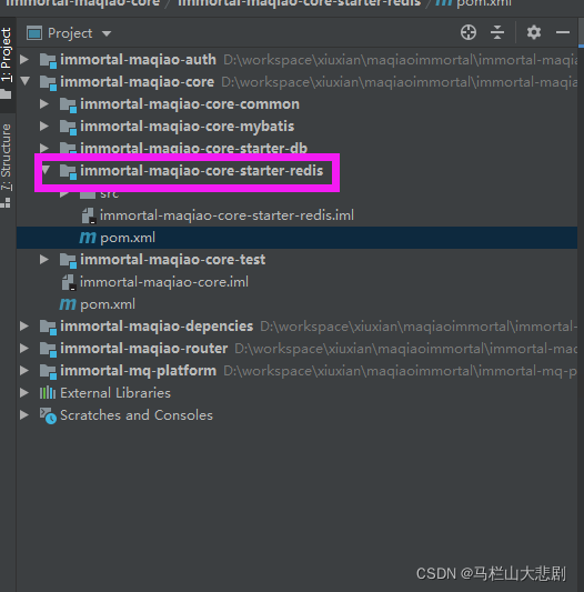 微服务常用组件封装项目过程详细介绍总述六 基于springboot的自定义redis Starter组件开发maven的