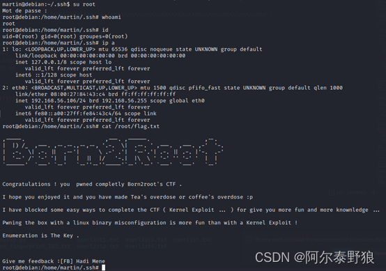 实战打靶集锦-003-Born2root-CSDN博客