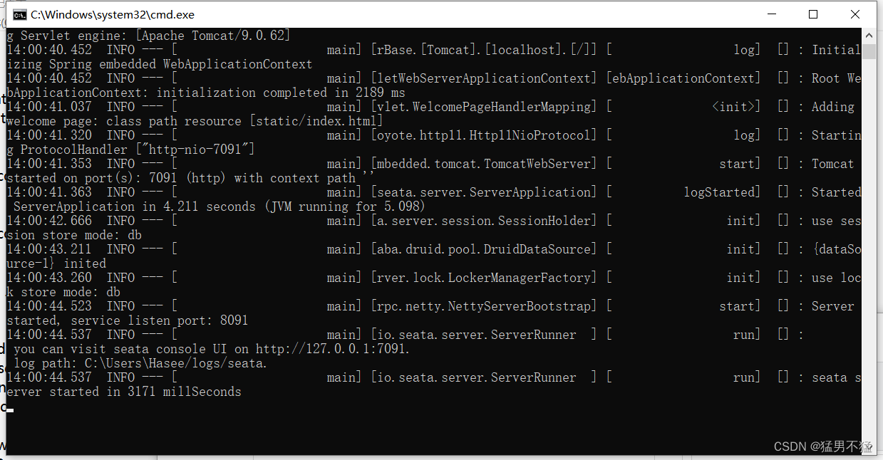 在Windows部署seata教程_windows下seata1.7.1安装和部署-CSDN博客