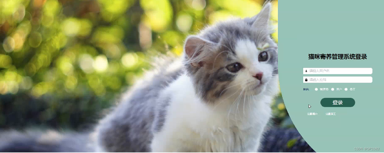 【独家源码】ssm猫咪寄养管理系统72lq6计算机毕业设计问题的解决方案与方法_毕业设计猫咪日常健康管理系统选题原因-CSDN博客