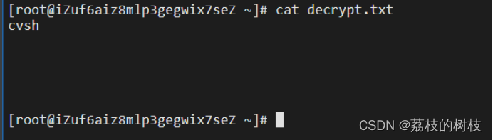 实验8 加密、数字签名与证书_vi lx.txt-CSDN博客
