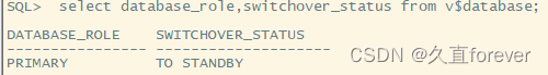 Oracle 11204 Dg （一主一备）主备正常切换手动switchoveroracle主备切换 Csdn博客 