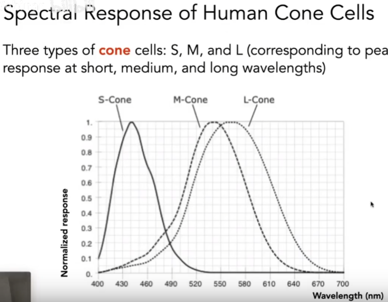 Games101笔记——Lecture 20:Color and Perception_games101 color and perception-CSDN博客