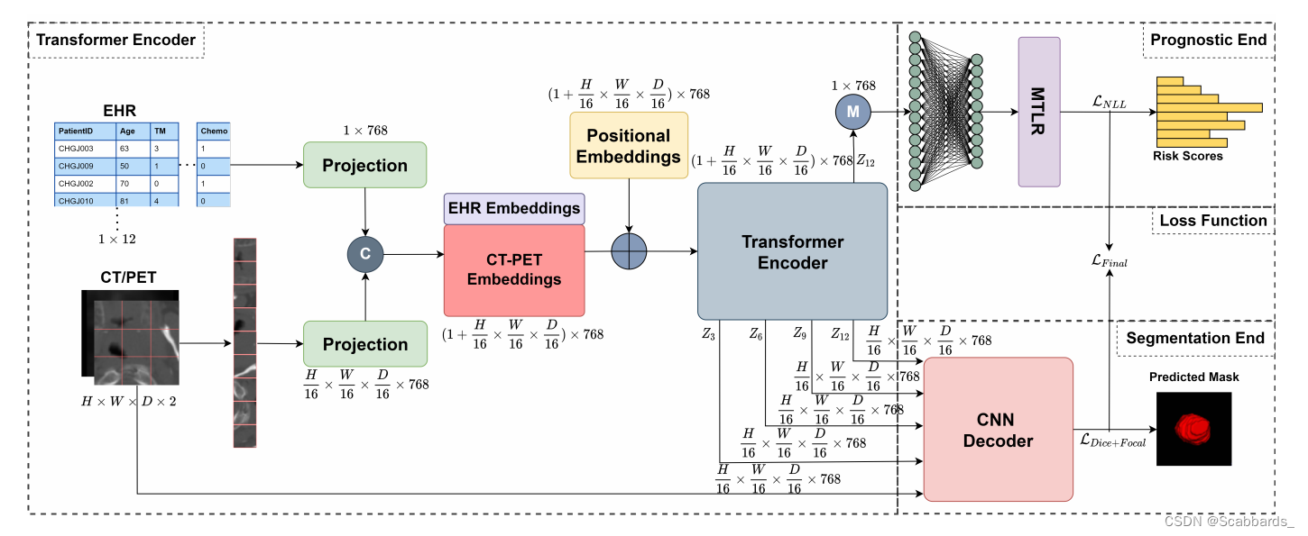 TMSS: 一个端对端的用于分割以及生存预测的基于transformer的多模态网络_tmss: an end-to-end transformer-based multimodal n-CSDN博客