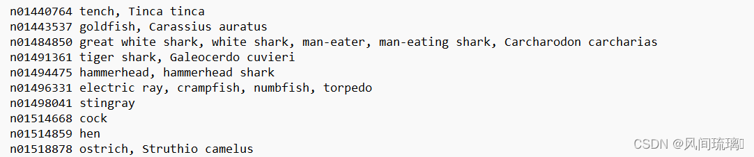 OpenCV之Googlenet图像分类-CSDN博客