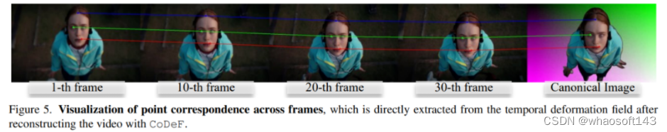 CoDef_codef 三维变形场-CSDN博客