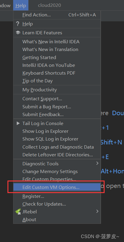 Jrebel使用，解决可能出现的JRebel-JVMTI [FATAL] Couldn‘t write to C:\Users\异常_·菠萝皮~的博客-CSDN博客