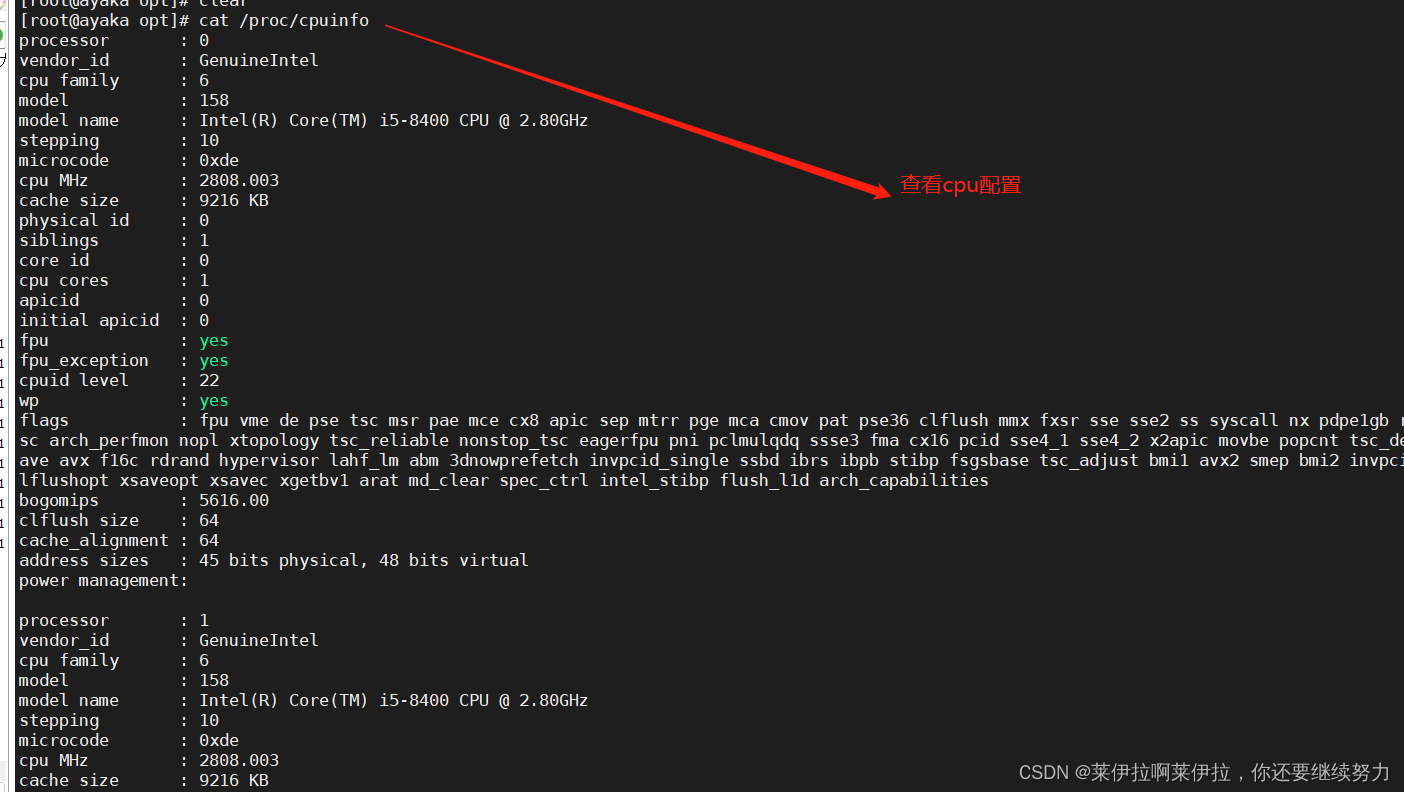 Linux命令 Linux目录结构,cat,more,less,head,tail,wc,grep,gzip,bzip2,tar,ziplinux的cat查看目录 Csdn博客