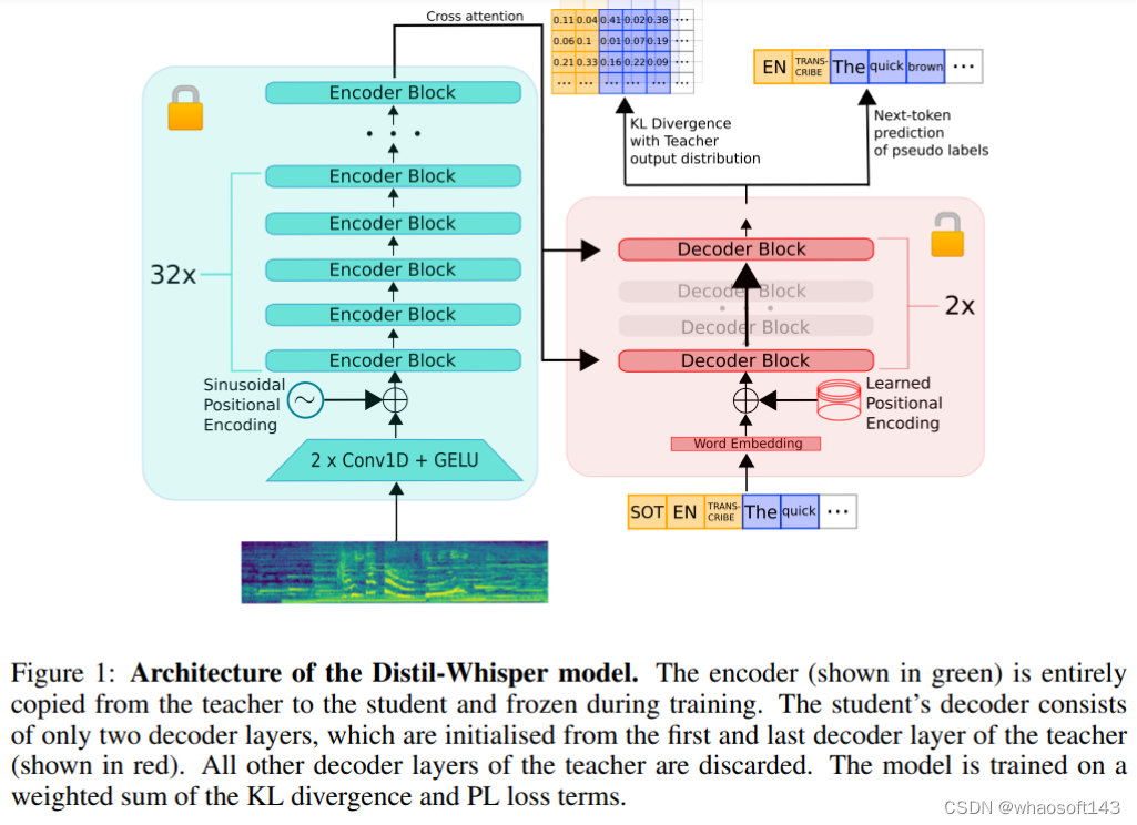 Distil-Whisper-CSDN博客