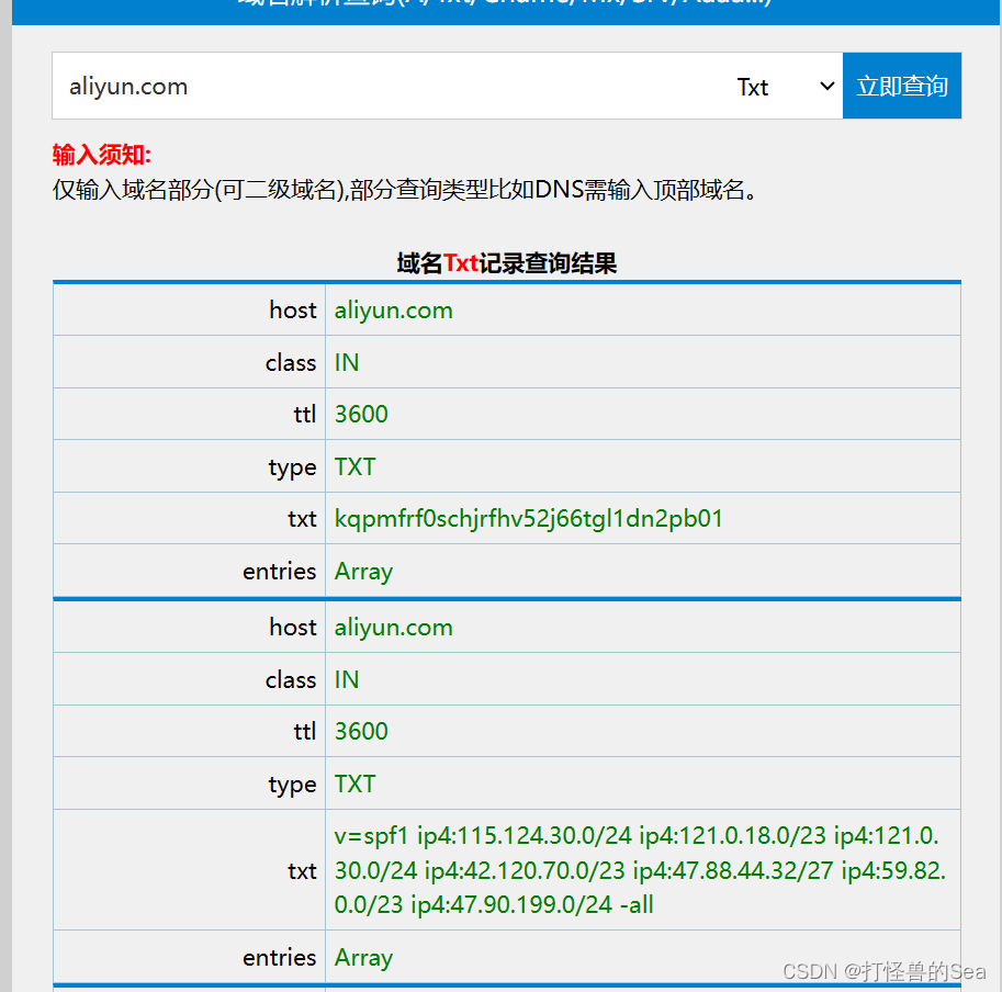 CTF-Web11（DNS域名查询TXT文件）_域名txt记录查询-CSDN博客