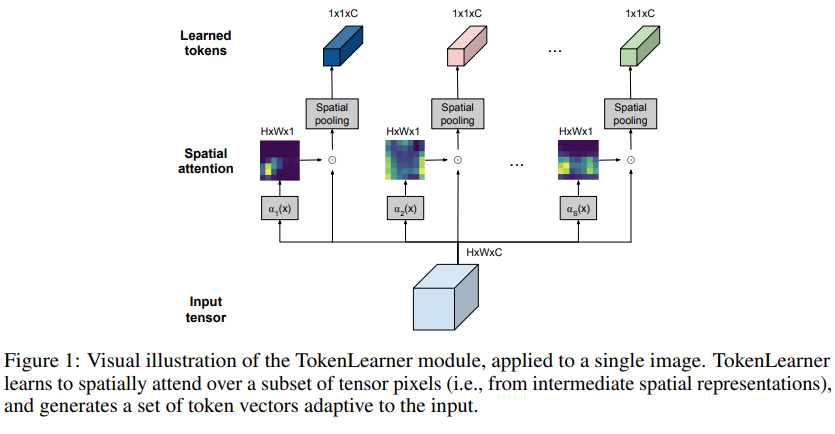 [NeurIPS 2021] TokenLearner：自适应学习 token 个数和位置 - What Can 8 Learned Tokens Do for Images and ...