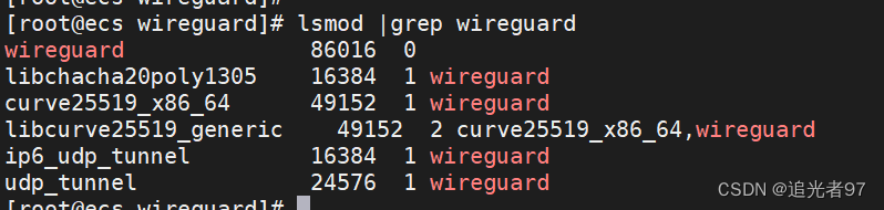 wireguard实现虚拟私有网络搭建_wiregurad搭建-CSDN博客