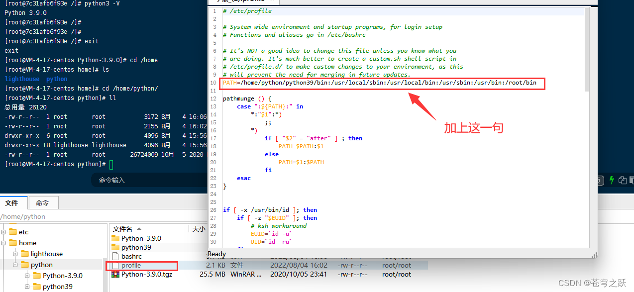 docker运行centos镜像 安装python3.9环境_docker python3.9-CSDN博客