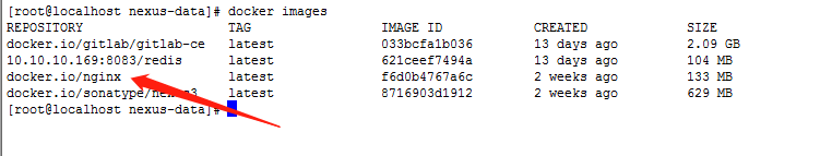 jenkins从入门到生产教程-基于docker安装nexus（六）_笨鸟不会飞-CSDN博客