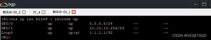 BGP与OSPF交互（EGP与IGP）_bgp引入ospf-CSDN博客