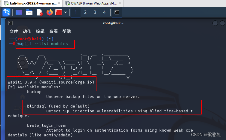 信息安全技术（二）——使用Wapiti发现漏洞_wapiti漏洞扫描-CSDN博客