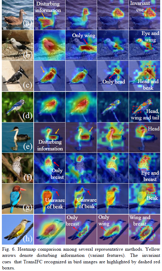 [TMM 2023] TransIFC: Invariant Cues-aware Feature Concentration ...