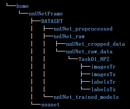 nnUNet训练并推理自己的数据集_nnunet训练自己数据集-CSDN博客
