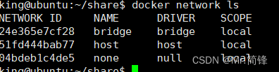 Docker 网络_docker0网卡的作用-CSDN博客