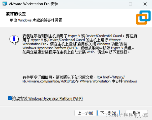 Vmware安装_windows hypervisor platform-CSDN博客
