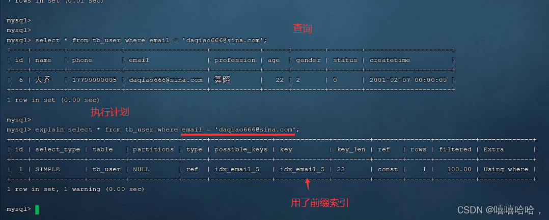 85 28 进阶 索引 使用规则 前缀索引 Csdn博客 
