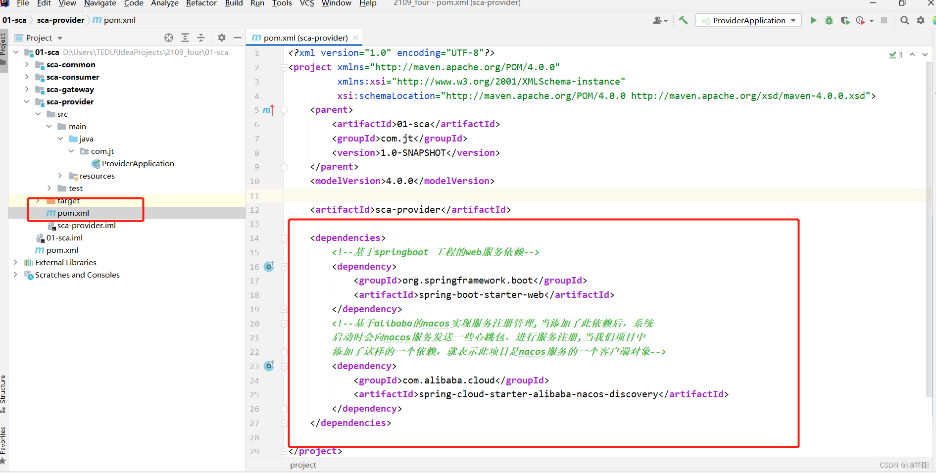 Nacos服务注册中心_his_config_info_懂Java的懒阳阳的博客-CSDN博客